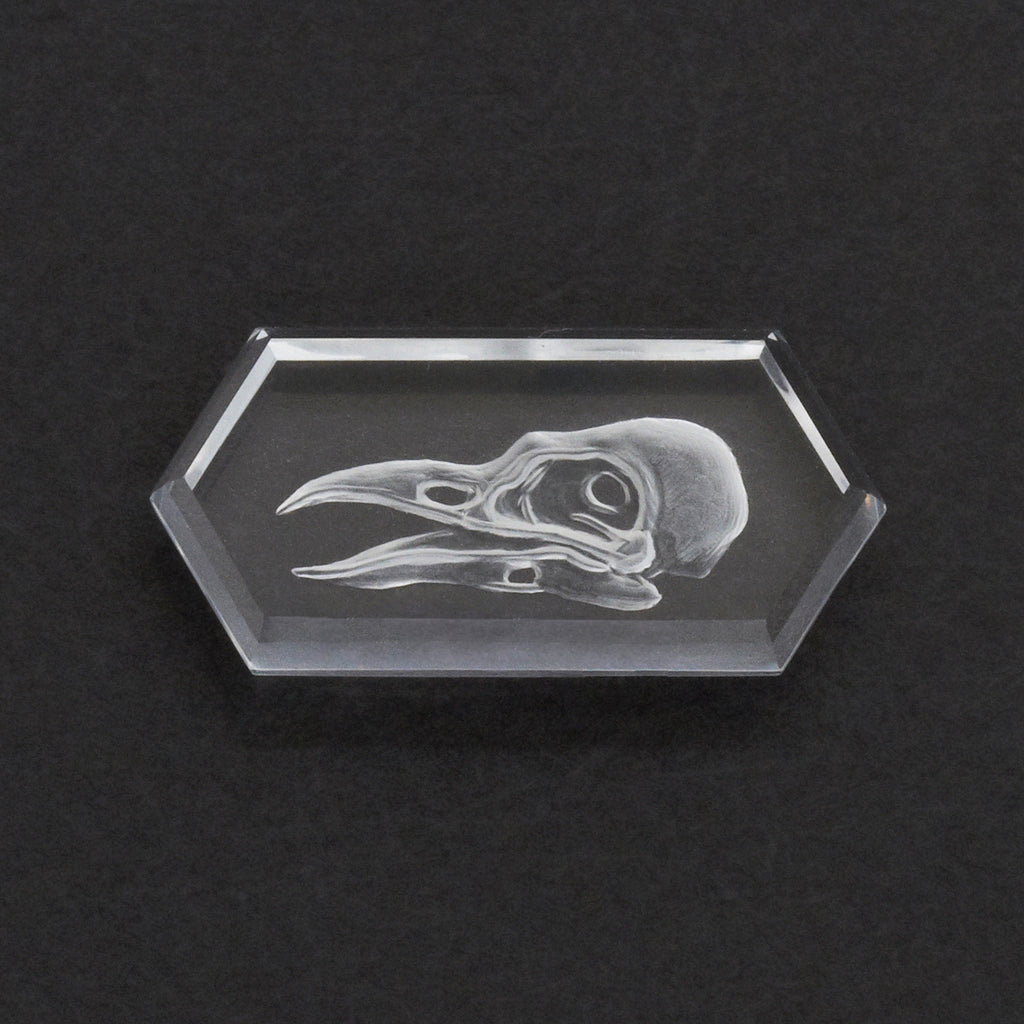 20x10mm Clear Quartz Elongated Hex Tablet™ Raven Skull Intaglio Carvin ...