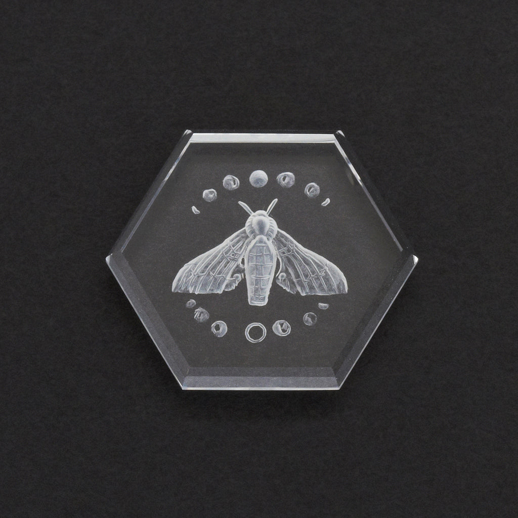 18mm Clear Quartz Hex Tablet™ Moth Intaglio Carvings – Columbia Gem House